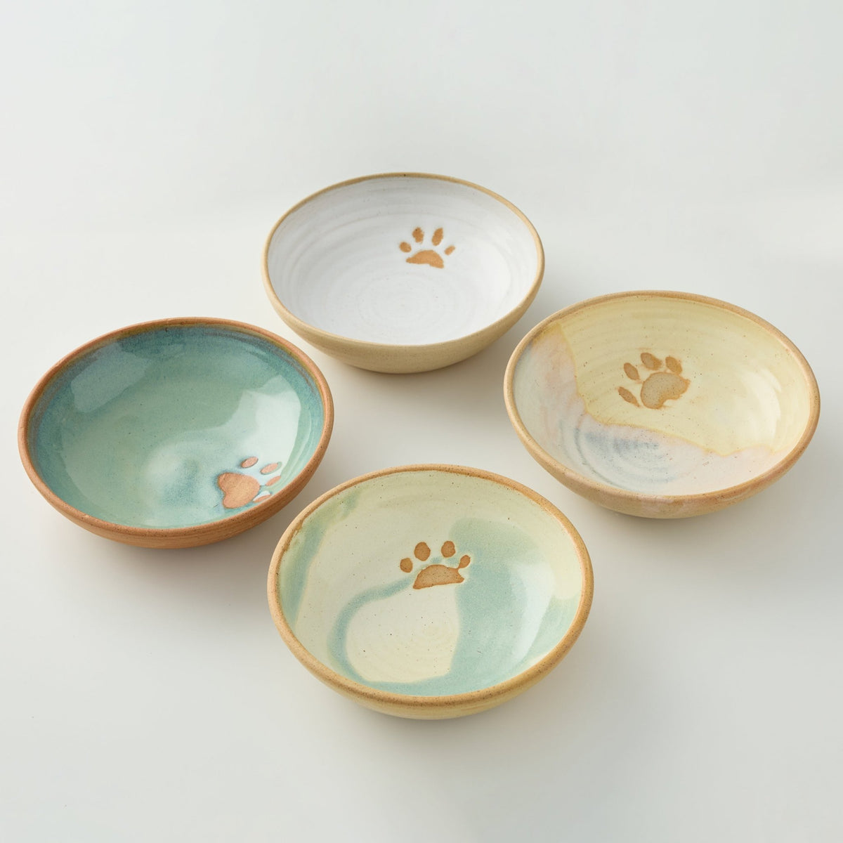 Pet Butcher Colourful Ceramic Bowl – The Pet Butcher